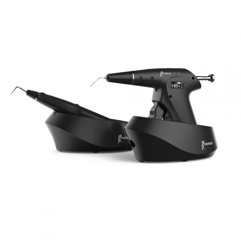 FI-P/FI-G Woodpecker obturation system